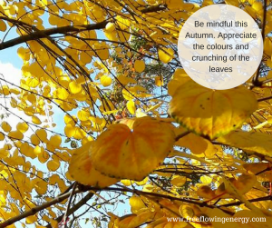 How To be More Mindful This Autumn - Freeflowingenergy.com